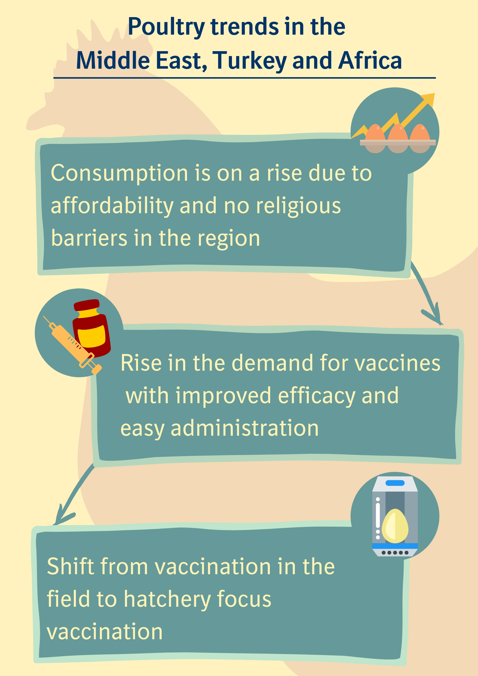 Spotlight On Poultry Chicken Trends | Boehringer Ingelheim IN