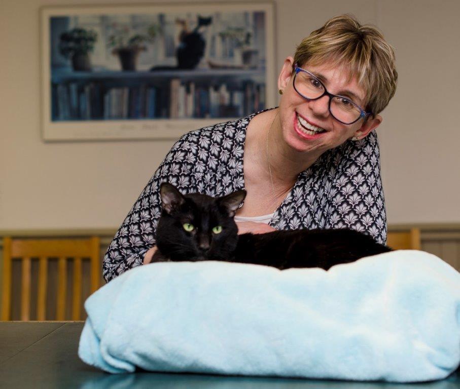 Cat Vaccination: What You Should Know | Boehringer Ingelheim IN