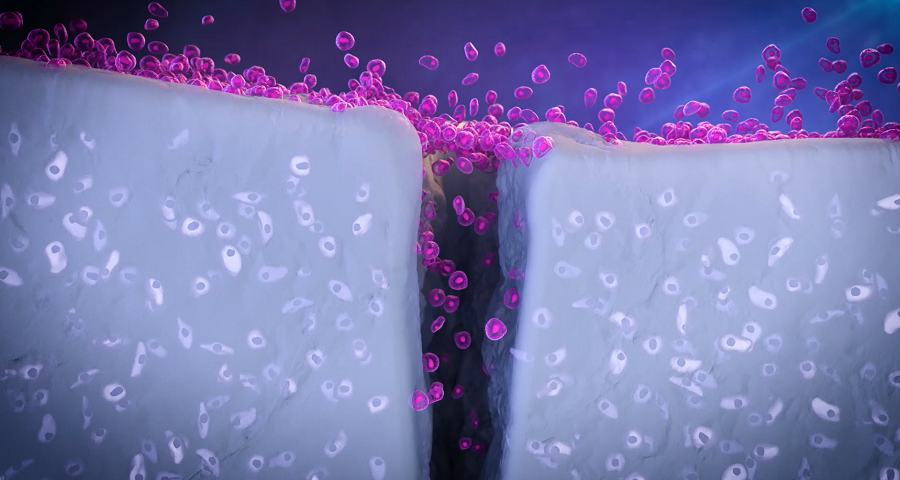 Stem Cells A New Frontier | Boehringer Ingelheim IN