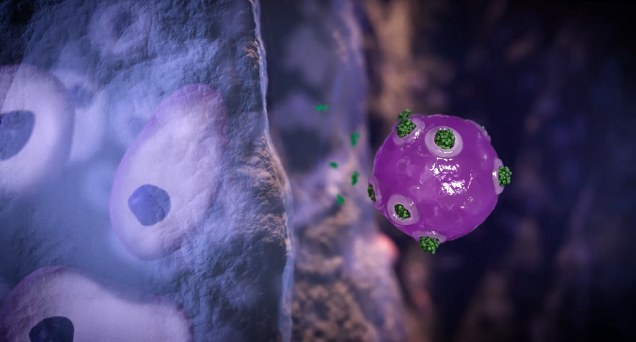 Stem Cells A New Frontier | Boehringer Ingelheim IN