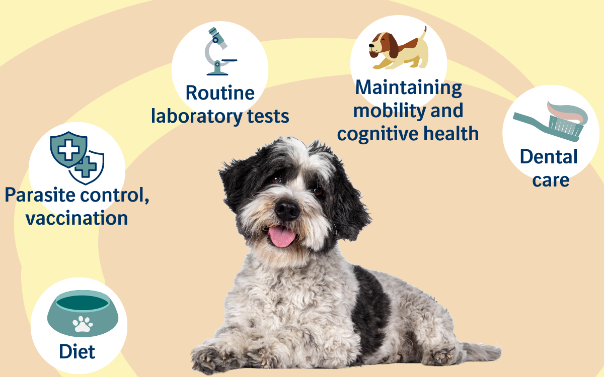 Preventive Health for Dog Life Stages | Boehringer Ingelheim IN