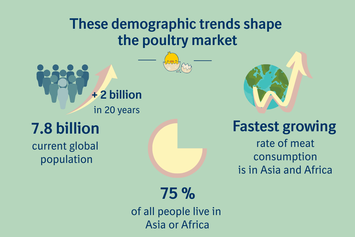Global Poultry Trends | Boehringer Ingelheim IN