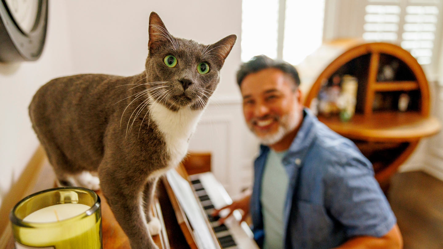 cat feline diabetes medication treatment eu approval | Boehringer Ingelheim
