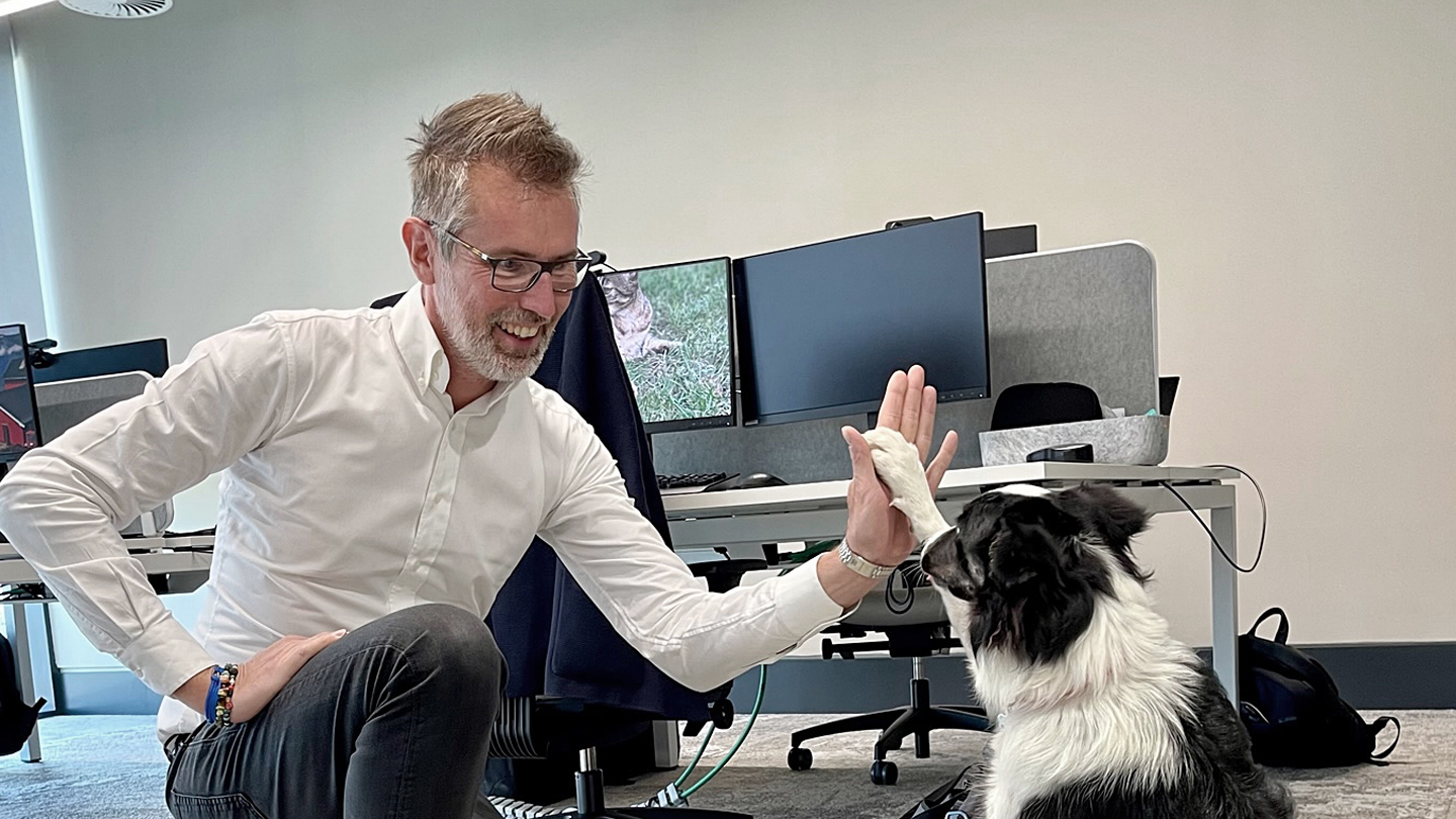 Dogs at work in Milan offices | Boehringer Ingelheim