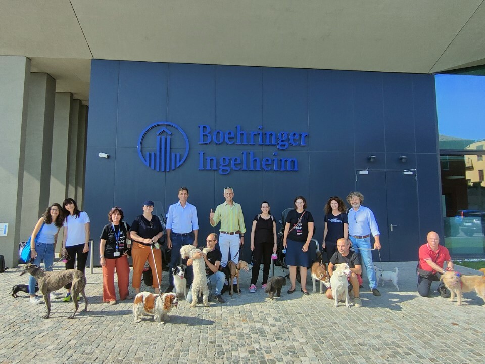 Pets | Boehringer Ingelheim