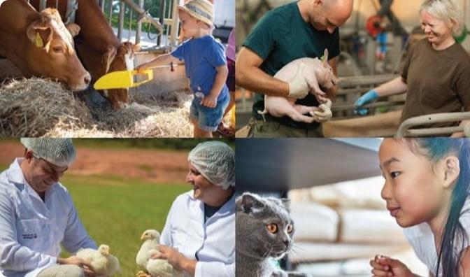 Press Kit Animal Health | Boehringer Ingelheim MEA