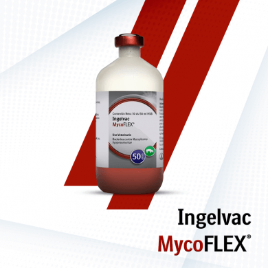 Productos para Salud Animal | Boehringer Ingelheim