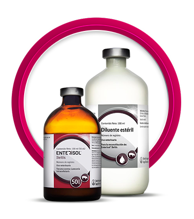 Enterisol® SC-54 | Boehringer Ingelheim