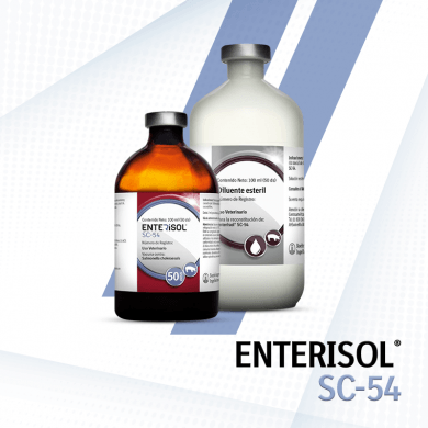 Productos para Salud Animal | Boehringer Ingelheim