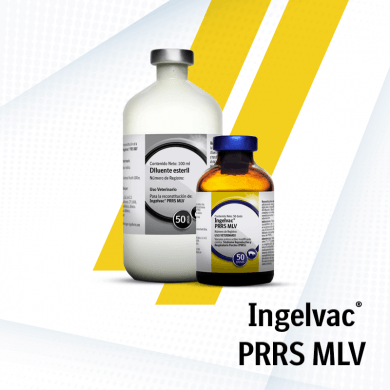 Productos para Salud Animal | Boehringer Ingelheim