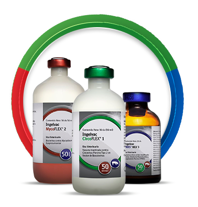 3FLEX® | Boehringer Ingelheim