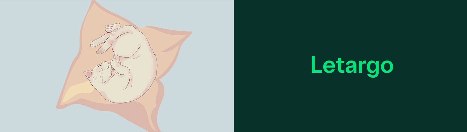 Diabetes en gatos: cómo detectarla y tratarla | Boehringer Ingelheim