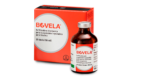 Bovela® | Boehringer Ingelheim