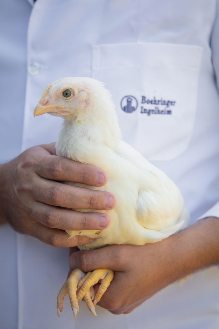 Con PREVEXXION® RN el futuro es ahora | Boehringer Ingelheim SA