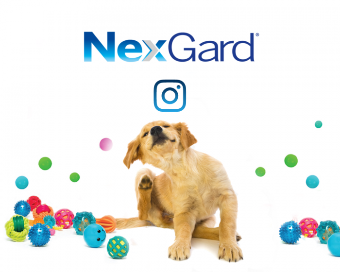 NexGard® | Boehringer Ingelheim