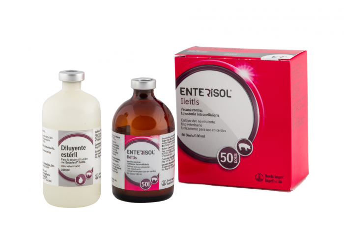 III Edición de la Academia Entérica Porcina | Boehringer Ingelheim