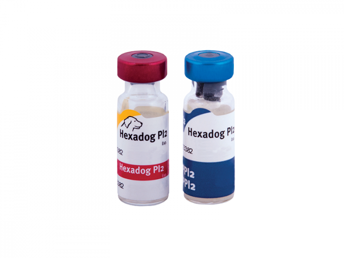 10 cosas que debes saber sobre la rabia | Boehringer Ingelheim