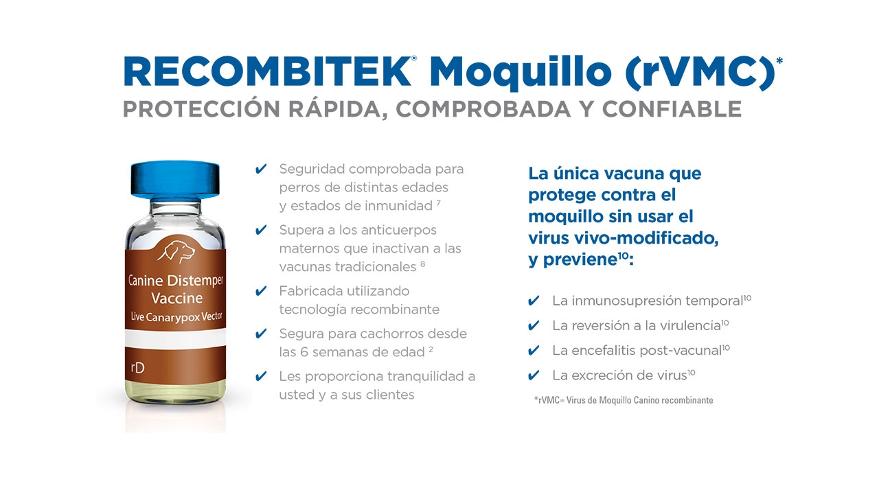 Recombitek significa innovación | Boehringer Ingelheim