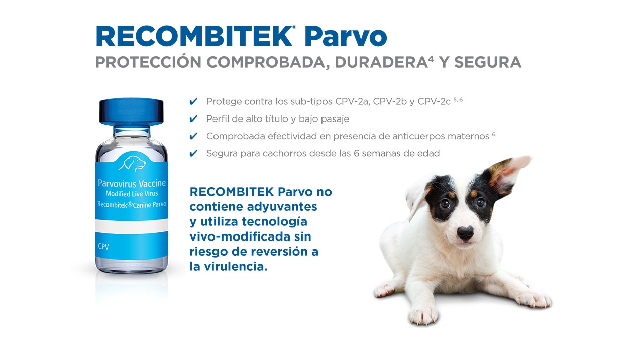 Recombitek significa innovación | Boehringer Ingelheim