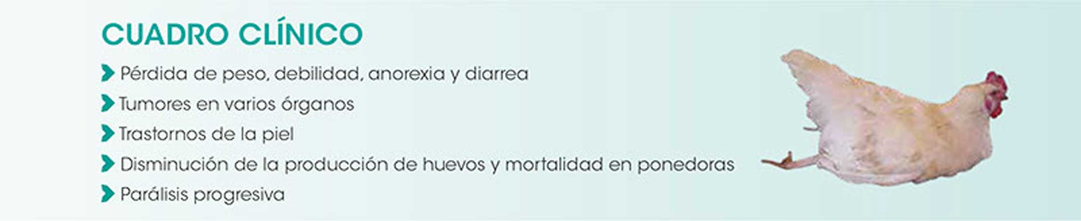 Con PREVEXXION® RN el futuro es ahora | Boehringer Ingelheim SA