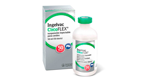 Ingelvac CircoFLEX® | Boehringer Ingelheim