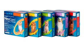 NexGard Spectra® | Boehringer Ingelheim