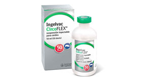 Ingelvac CircoFLEX® | Boehringer Ingelheim