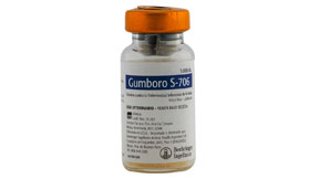 Gumboro S-706 | Boehringer Ingelheim