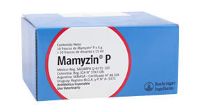 Mamyzin® P | Boehringer Ingelheim