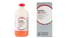 Ingelvac MycoFLEX® HSB | Boehringer Ingelheim