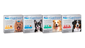 NexGard® | Boehringer Ingelheim