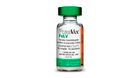 PUREVAX® FeLV | Boehringer Ingelheim