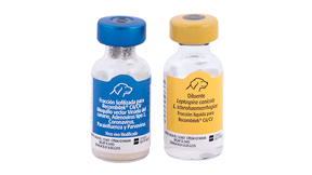 Recombitek® C6/CV | Boehringer Ingelheim