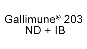 Gallimune® 203 ND + IB | Boehringer Ingelheim