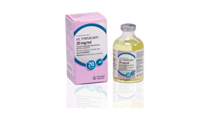 Metacam® | Boehringer Ingelheim