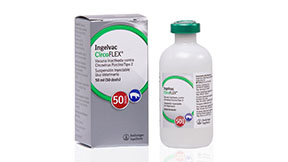 Ingelvac Circoflex® | Boehringer Ingelheim