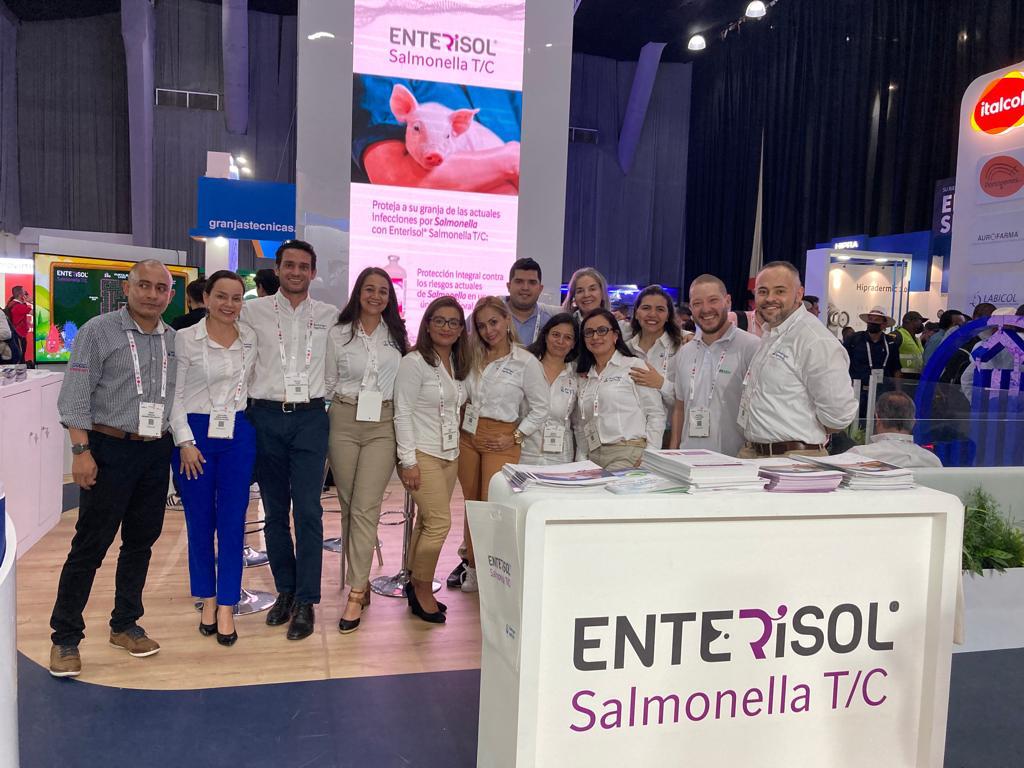 Porcinos | Boehringer Ingelheim SA