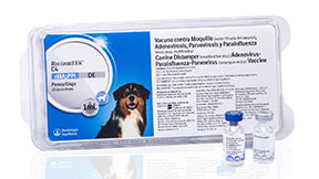 Recombitek® C4 | Boehringer Ingelheim