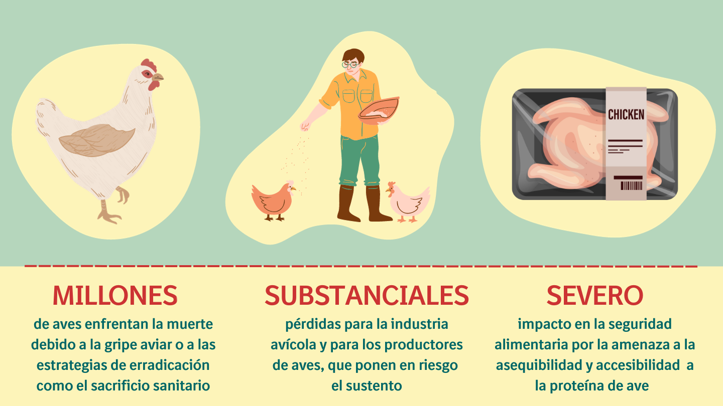 5 cosas que debes saber sobre la influenza aviar | Boehringer Ingelheim