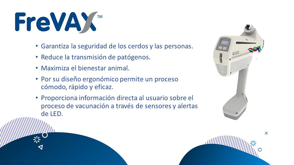 Innovación en porcicultura con FreVAX ™ | Boehringer Ingelheim SA