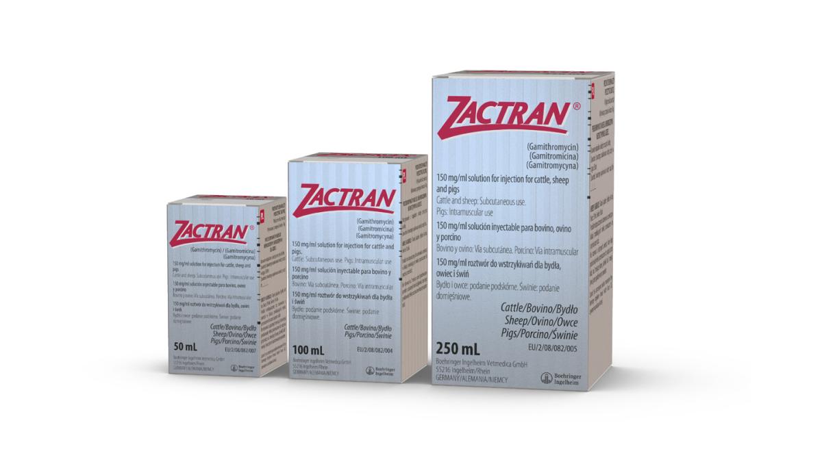 Zactran® Indicated for Respiratory Disease in Cattle | Boehringer Ingelheim