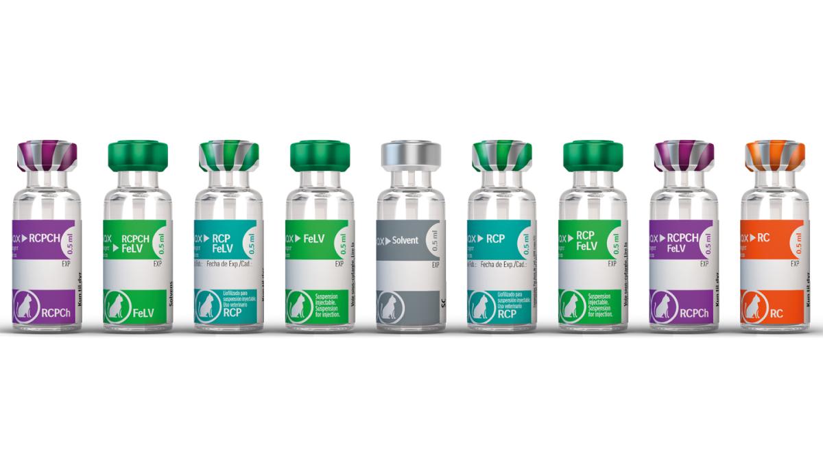 Purevax® - Fully Adjuvant-Free Feline Vaccine Range | Boehringer Ingelheim
