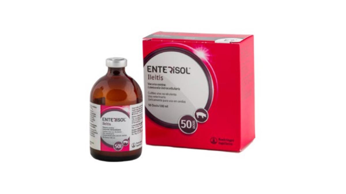 ENTERISOL® ILEITIS | Boehringer Ingelheim BR