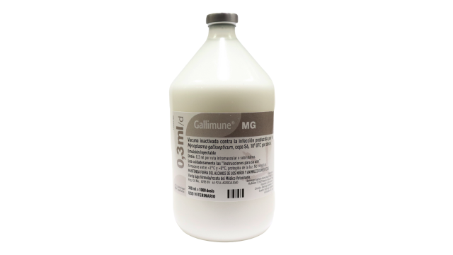 Gallimune® MG | Boehringer Ingelheim SA