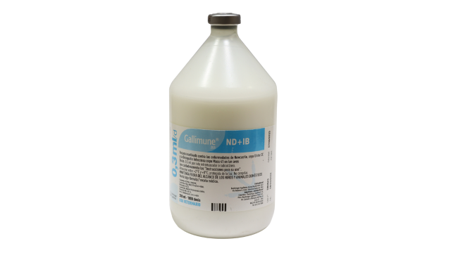 Gallimune® 203 ND + IB | Boehringer Ingelheim SA