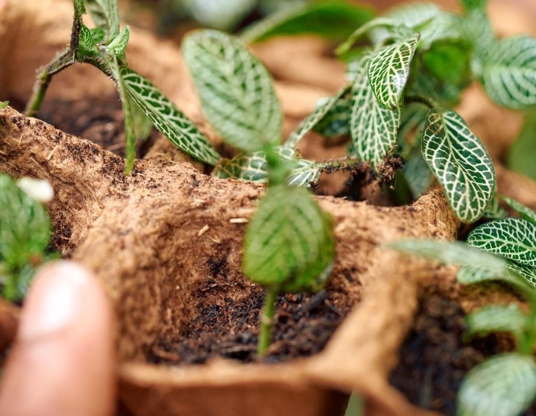 Environment | Boehringer Ingelheim MEA