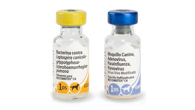 Recombitek® C8 | Boehringer Ingelheim SA