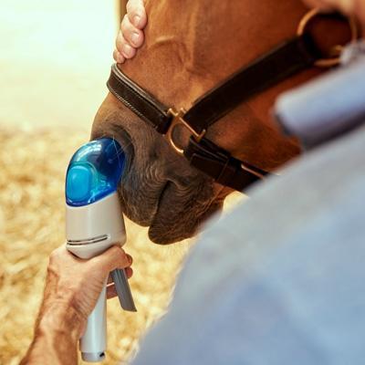 Aservo EquiHaler wins Pharmapack Award 2021 | Boehringer Ingelheim CZ