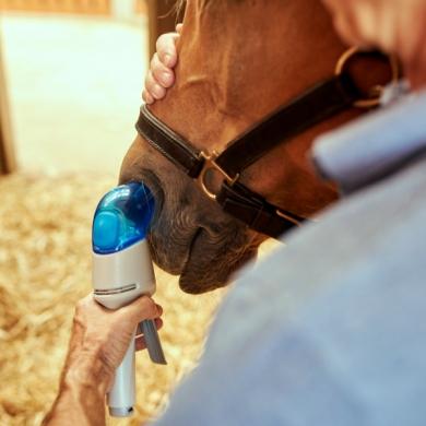 Aservo® EquiHaler® de Boehringer Ingelheim gana el premio Red Dot al ...