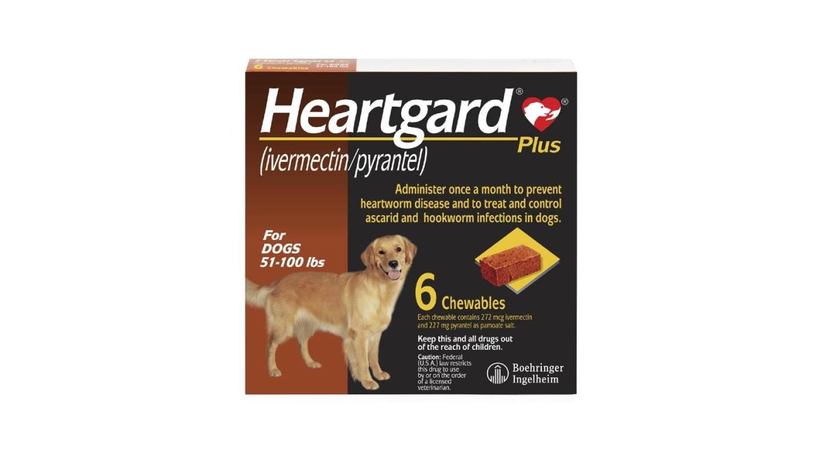 Heartgard Plus Indicated Antiparasitic for Canine | Boehringer Ingelheim
